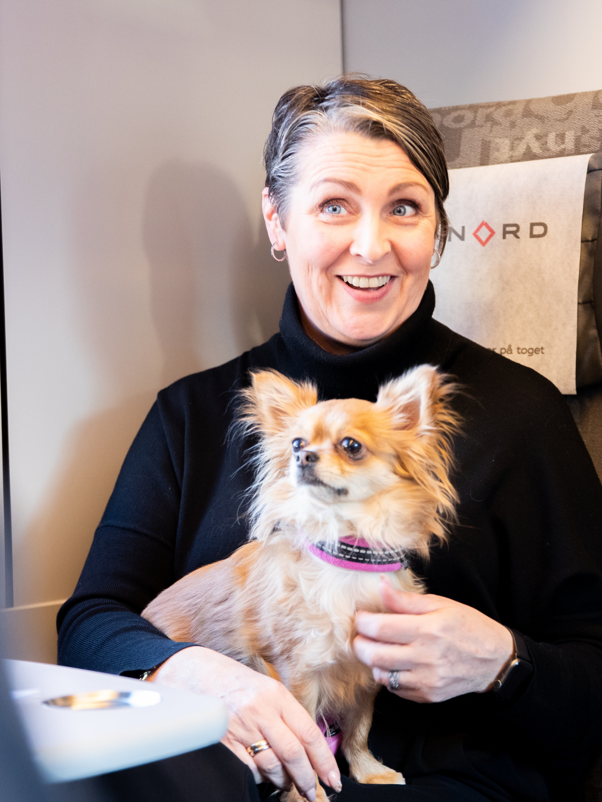 Animals aboard - SJ Norge