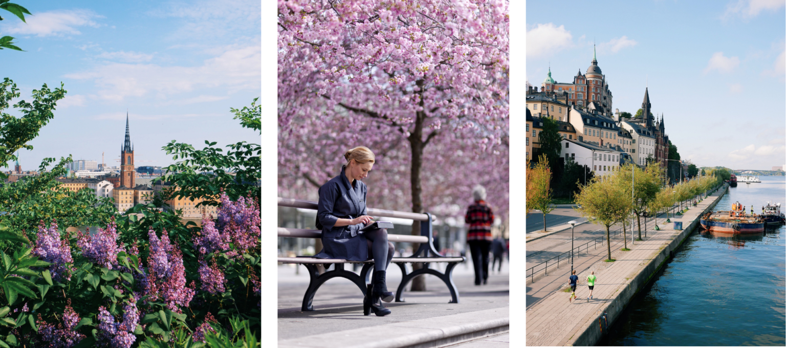 Journeys to Sweden - SJ Norge