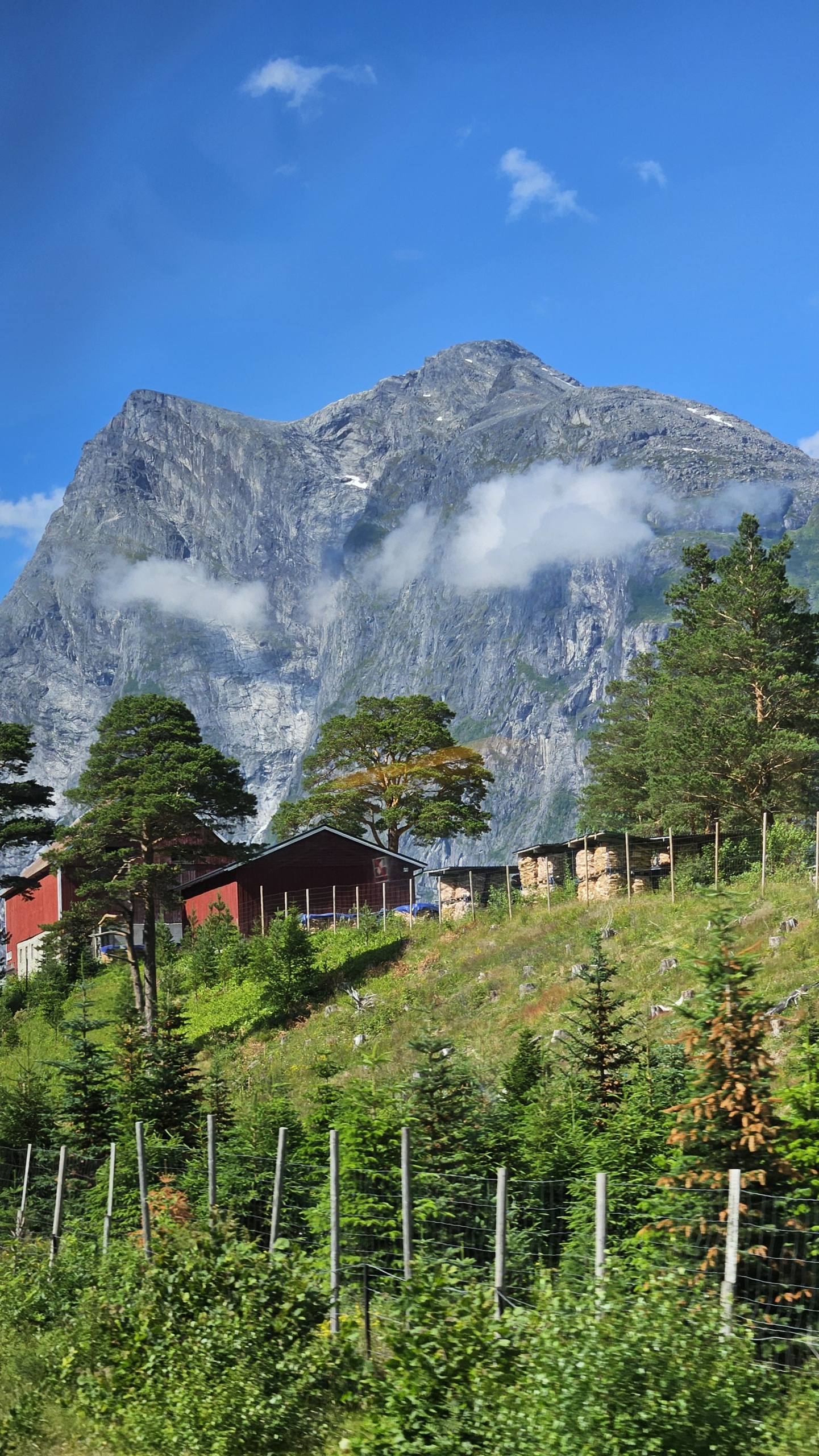 The Rauma line - SJ Norge