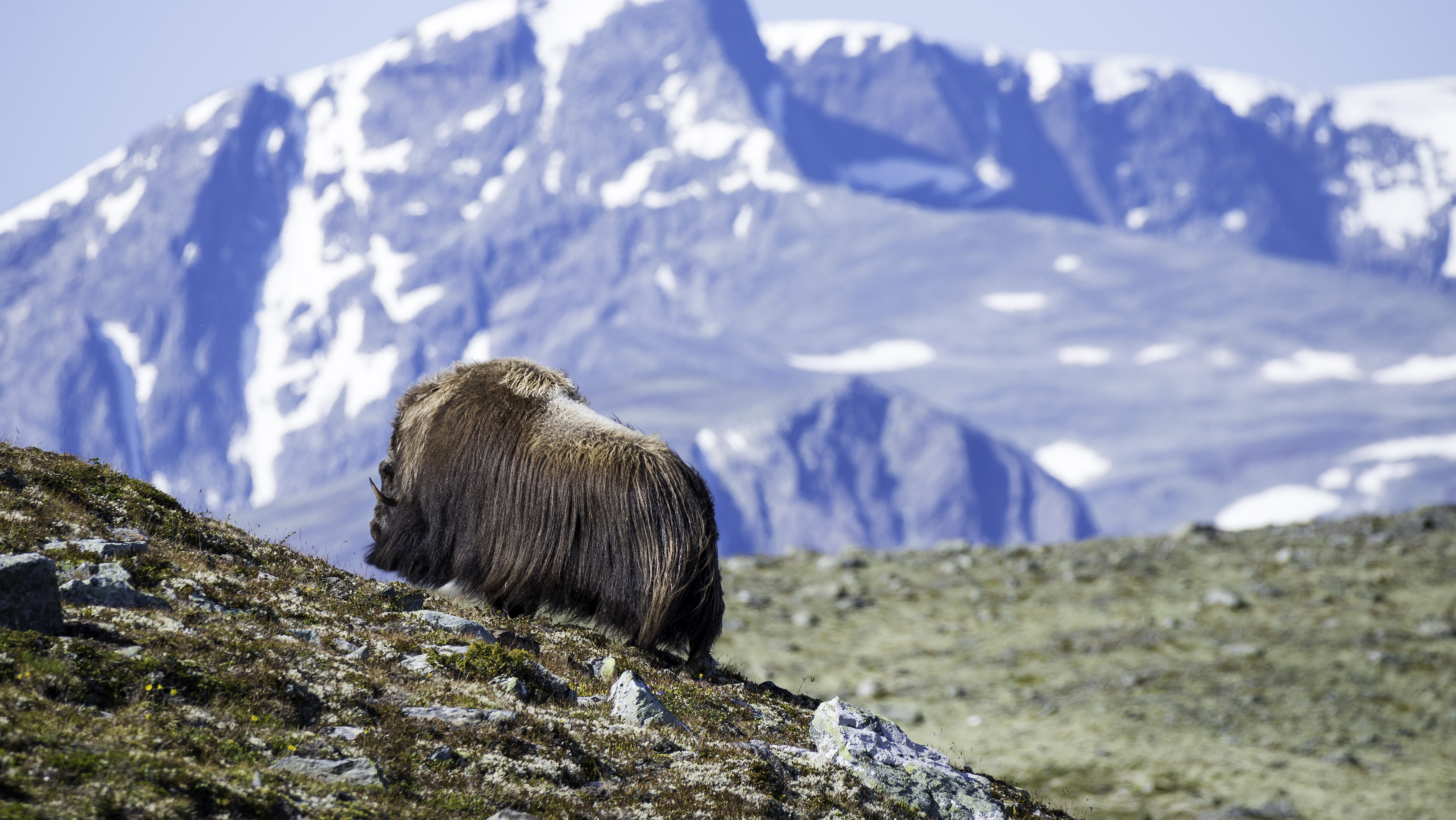 Reiseinspirasjon - SJ Norge